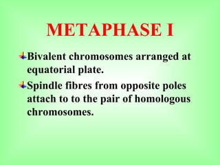 Cell cycle and cell division | PPT