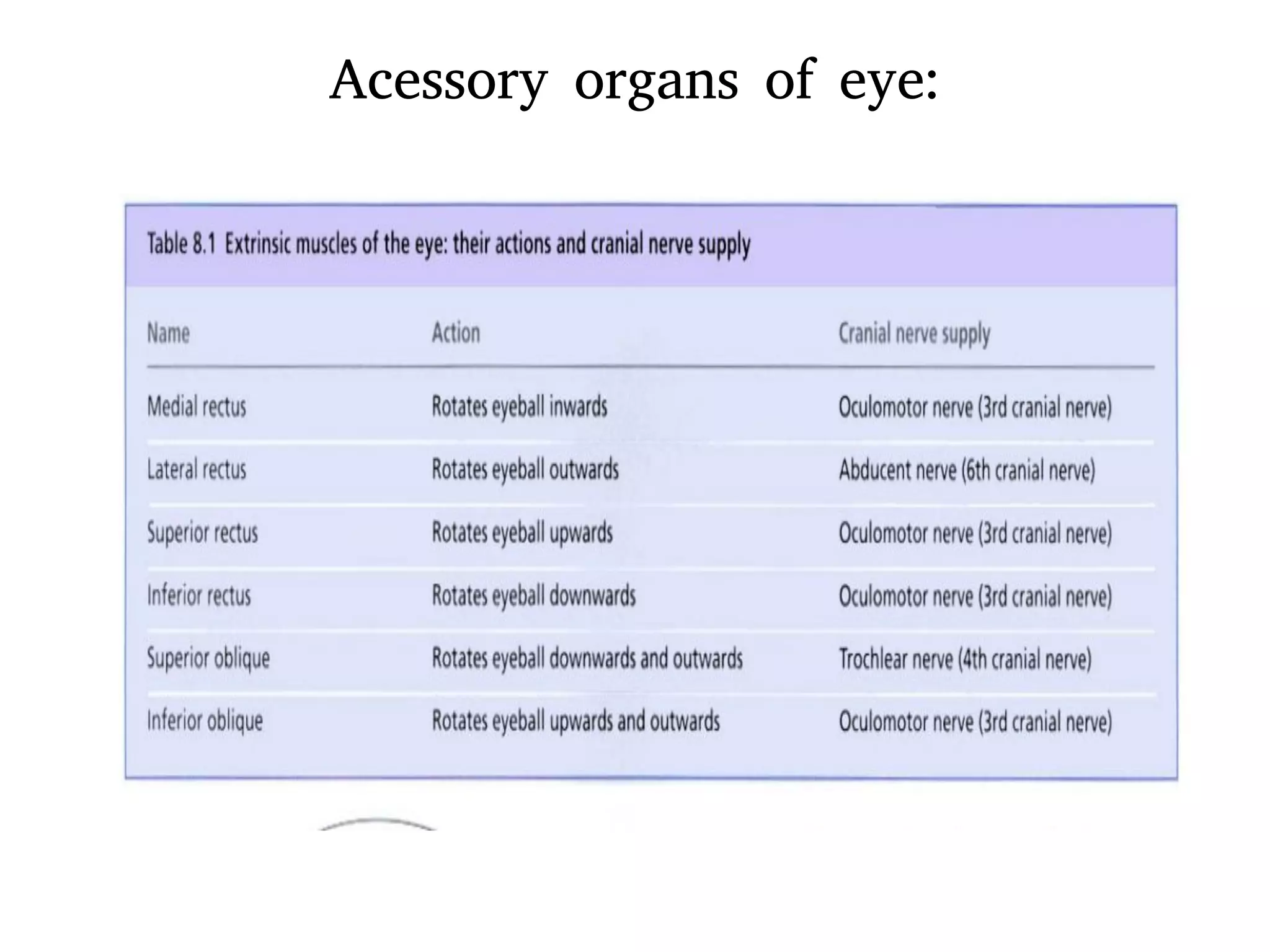 anatomy and physiology of eye | PDF