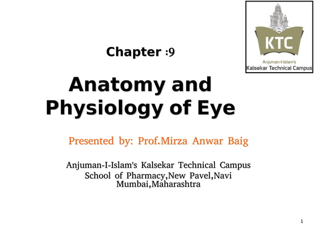 anatomy and physiology of eye | PDF | Eye and Vision Conditions ...