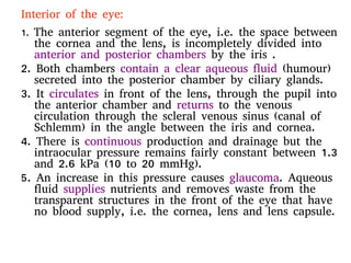 anatomy and physiology of eye | PDF