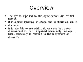 anatomy and physiology of eye | PDF