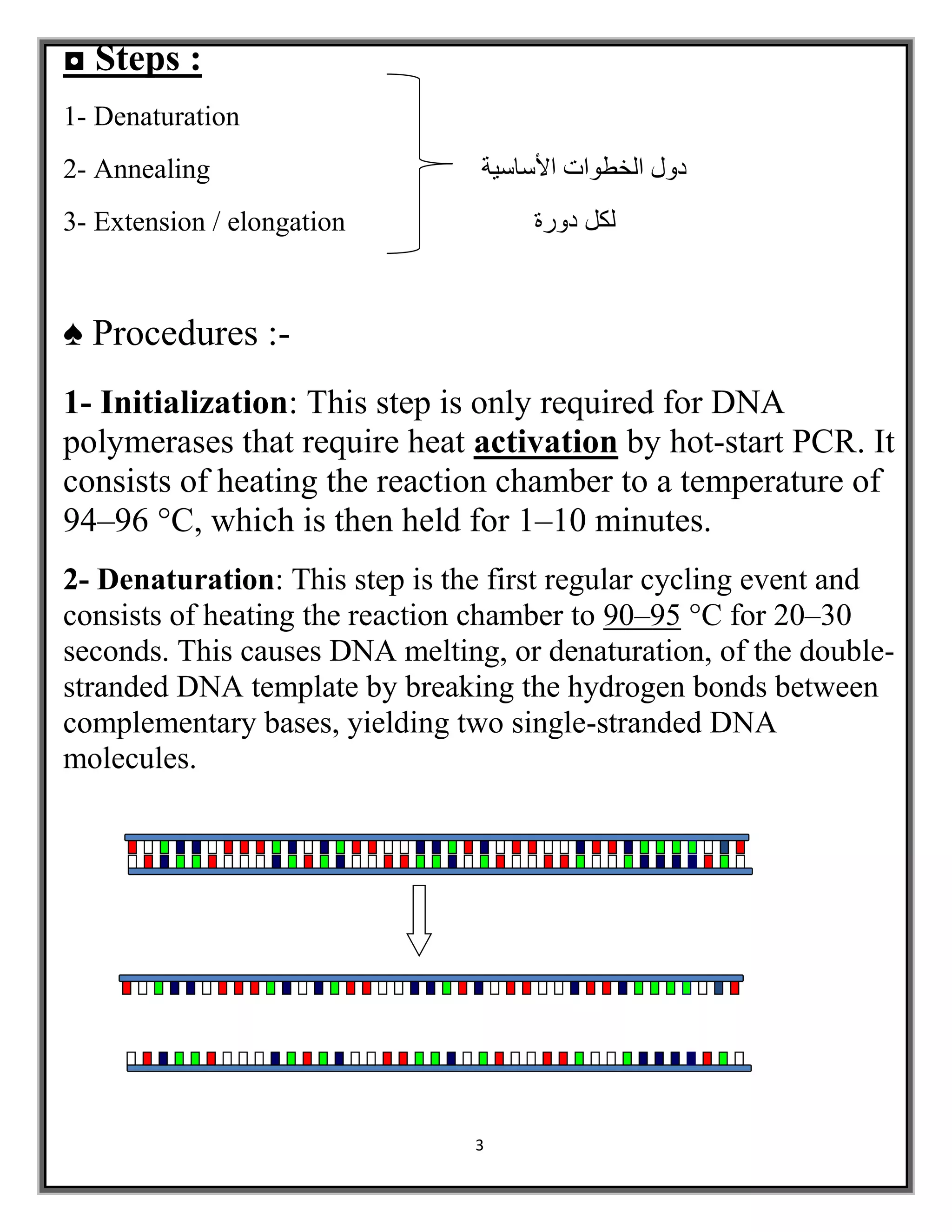 Polymerase Chain Reaction ( PCR ) | PDF