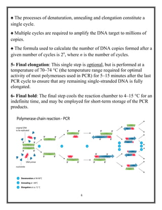 Polymerase Chain Reaction ( PCR ) | PDF