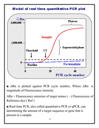 Polymerase Chain Reaction ( PCR ) | PDF