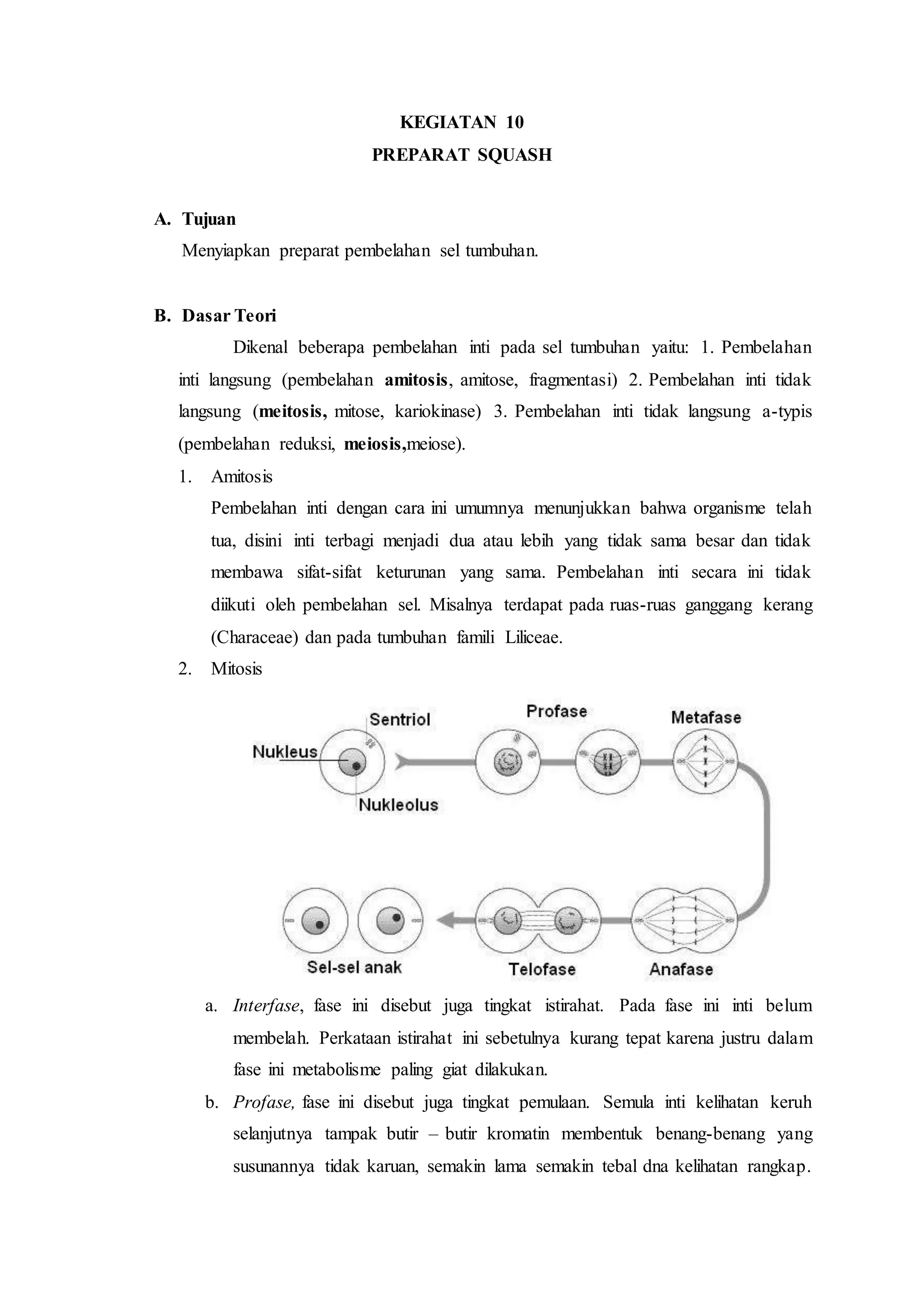 10. laporan praktikum biologi preparat squash ujung akar bawang merah ...