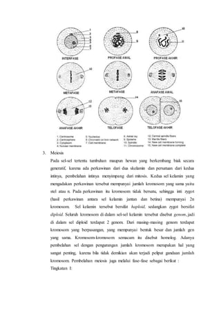 10. laporan praktikum biologi preparat squash ujung akar bawang merah ...