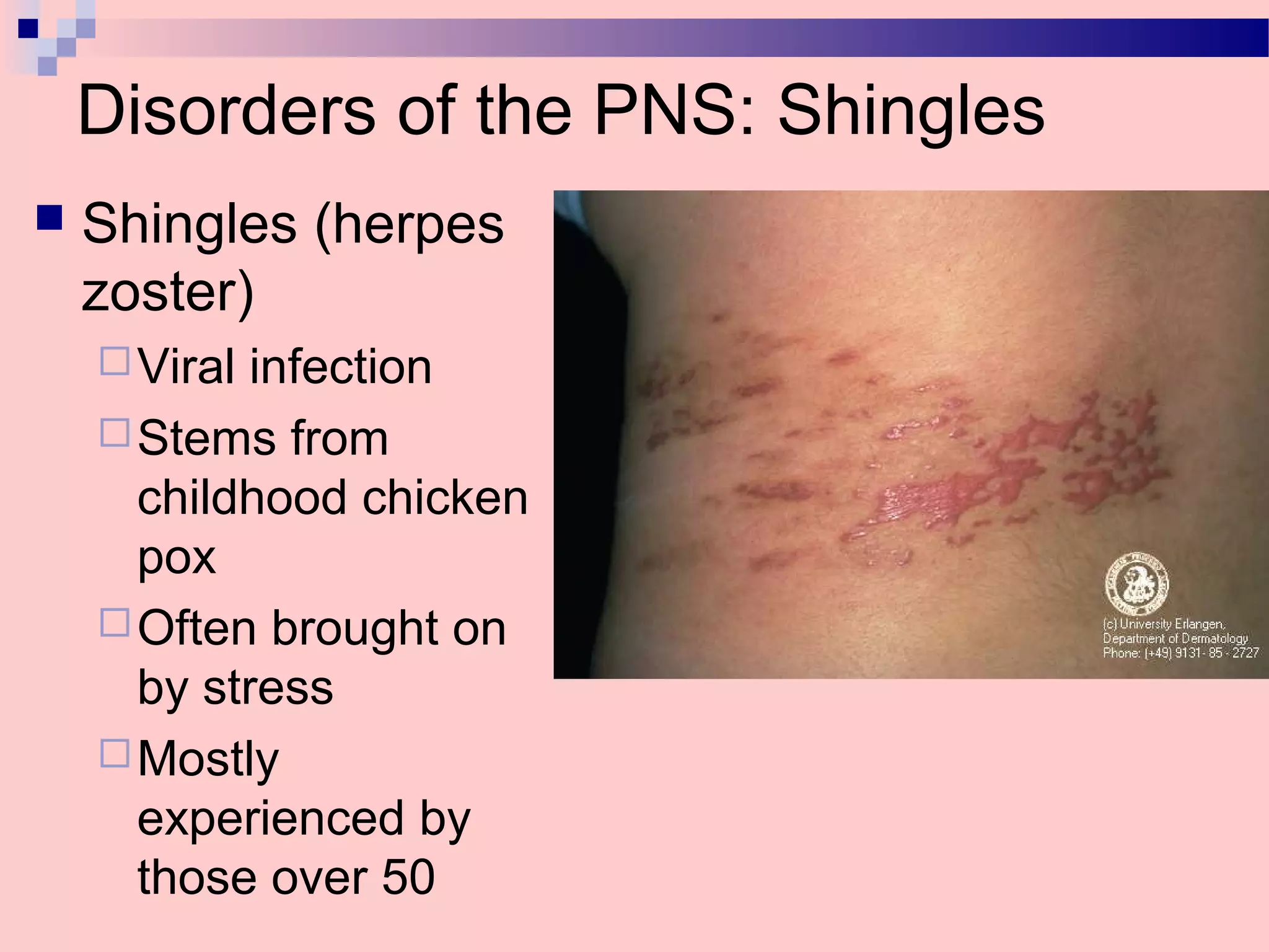 Peripheral Nervous System – Cranial Nerves – Part 2 | PPT