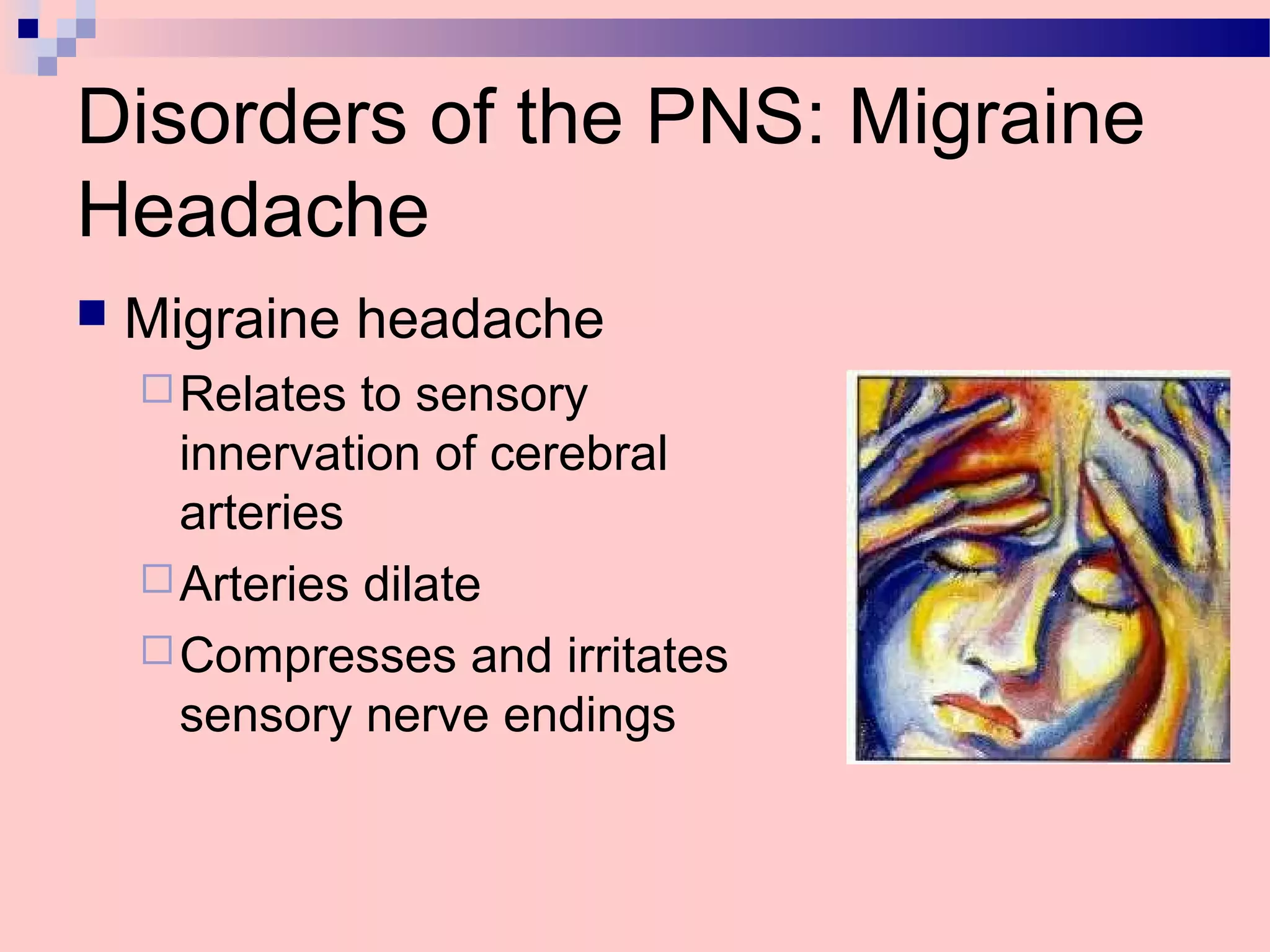 Peripheral Nervous System – Cranial Nerves – Part 2 | PPT