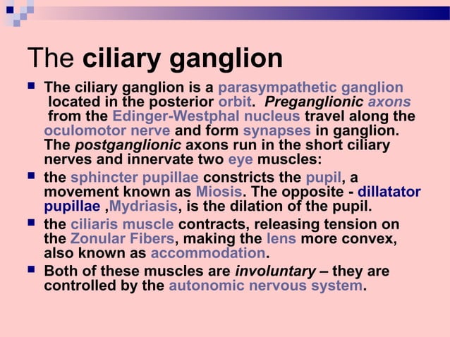 Peripheral Nervous System – Cranial Nerves – Part 2 | PPT