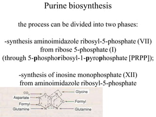 Metabolism of Purine & Pyrimidine nucleotide | PPTX