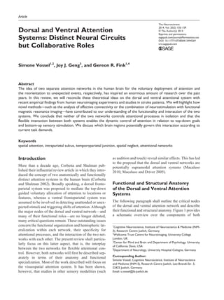 Dorsal And Ventral Attention Systems: Distinct Neural Circuits but Collaborative roles | PDF