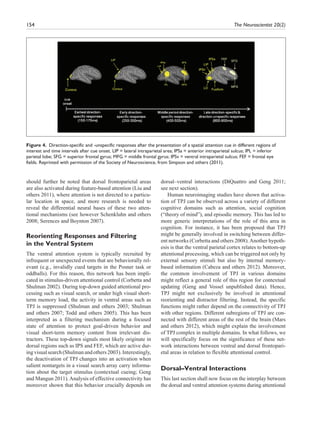 Dorsal And Ventral Attention Systems: Distinct Neural Circuits but Collaborative roles | PDF