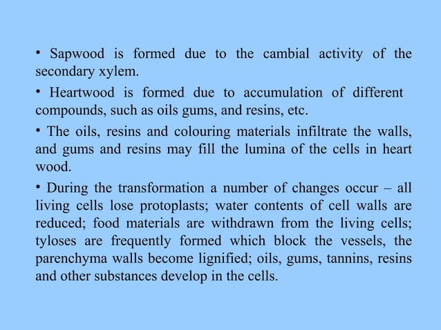 Sapwood and Heartwood | PPT | Woodworking | Arts and Crafts