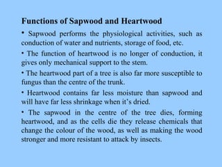 Sapwood and Heartwood | PPT