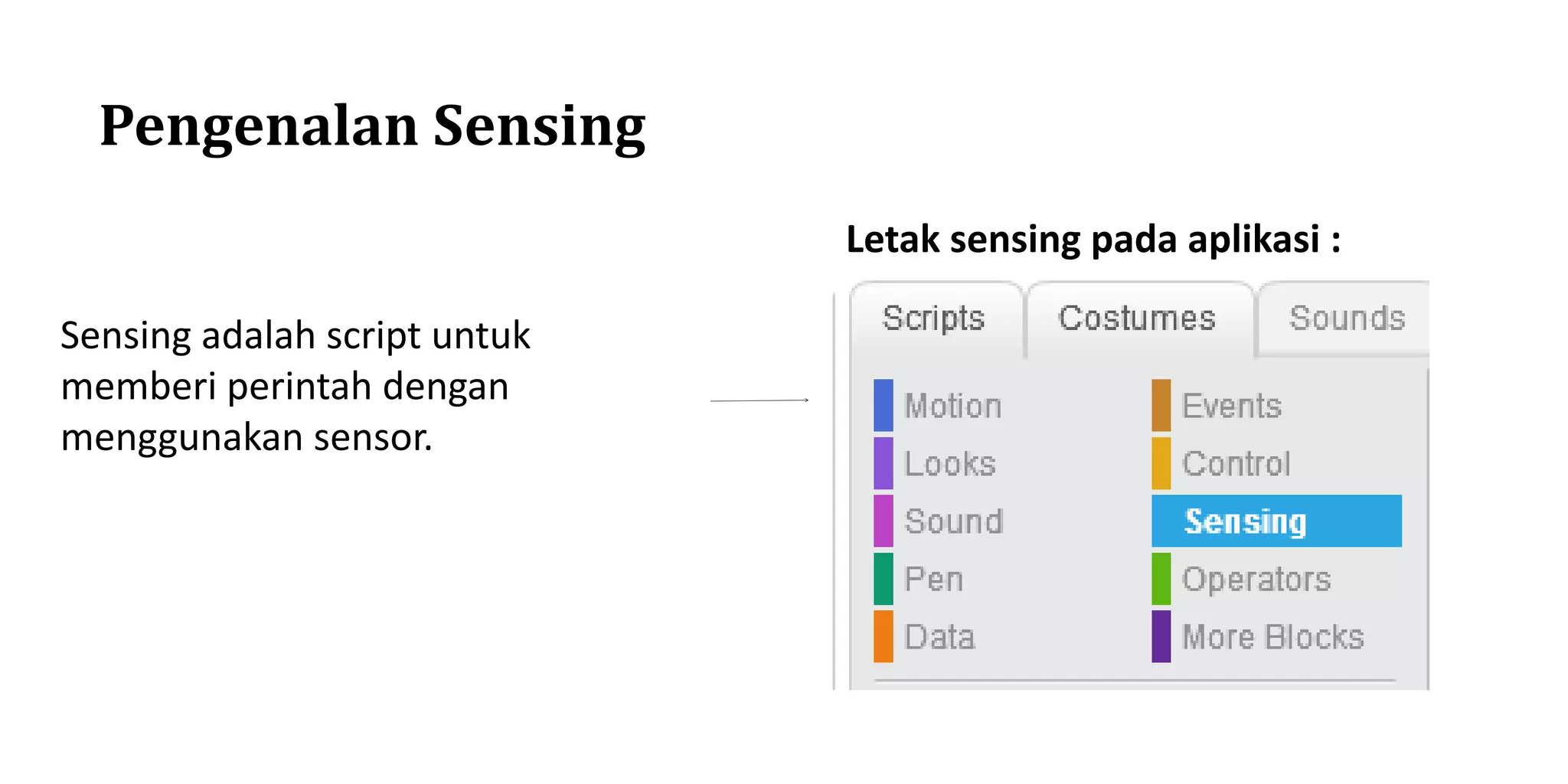 10. sensing scratch | PPTX