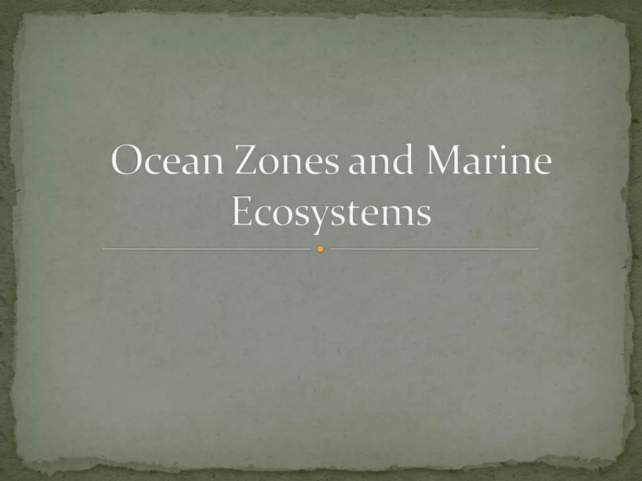 Ocean Zones and Marine Ecosystems Notes | PPTX