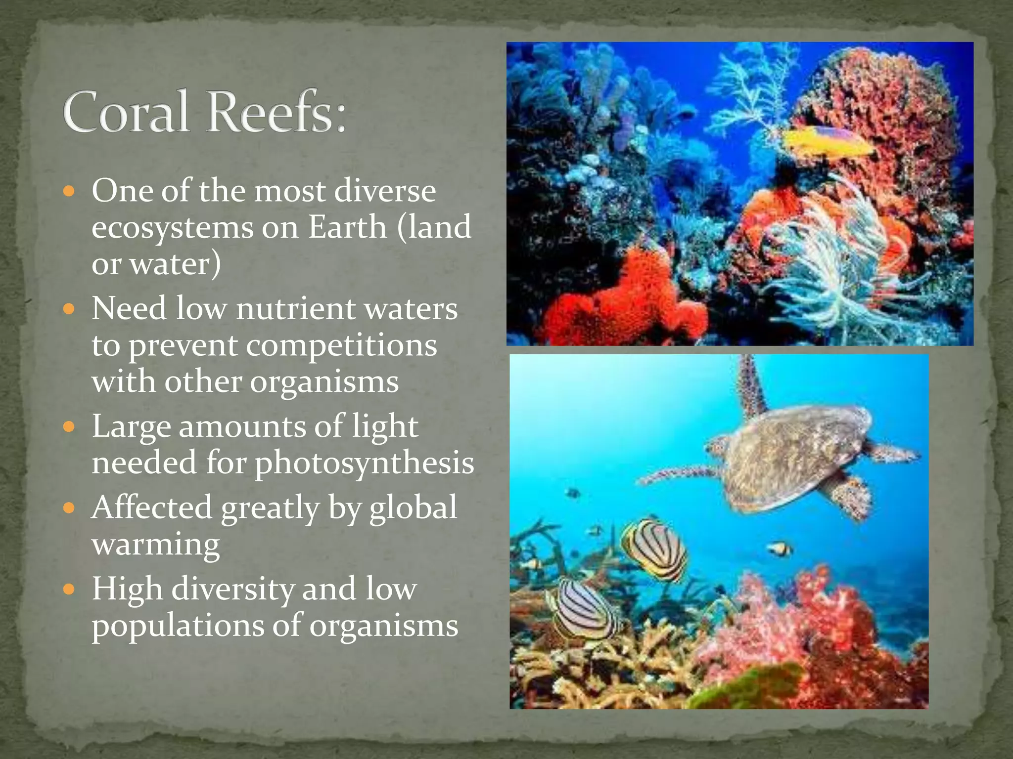 Ocean Zones and Marine Ecosystems Notes | PPTX