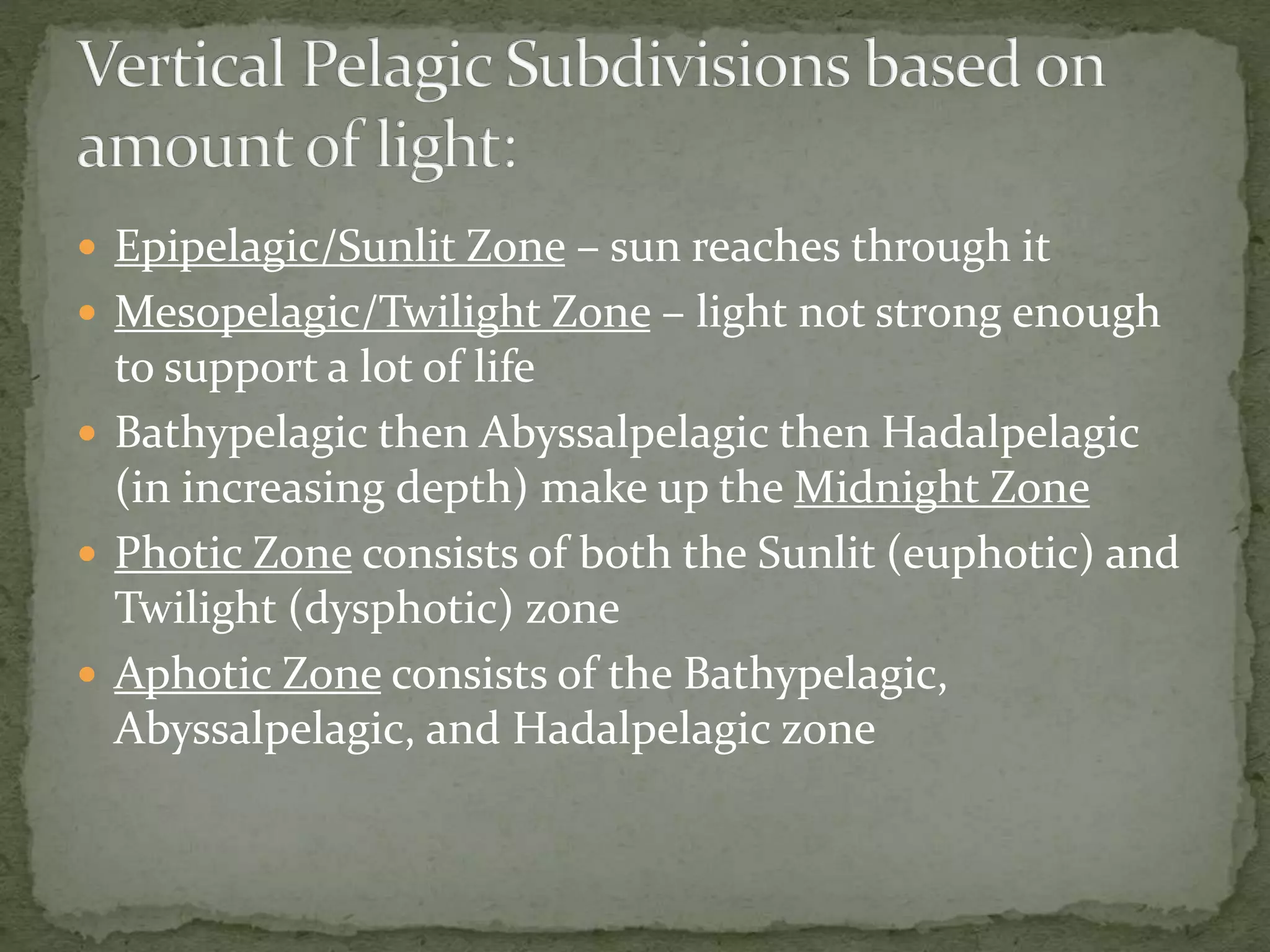 Ocean Zones and Marine Ecosystems Notes | PPTX