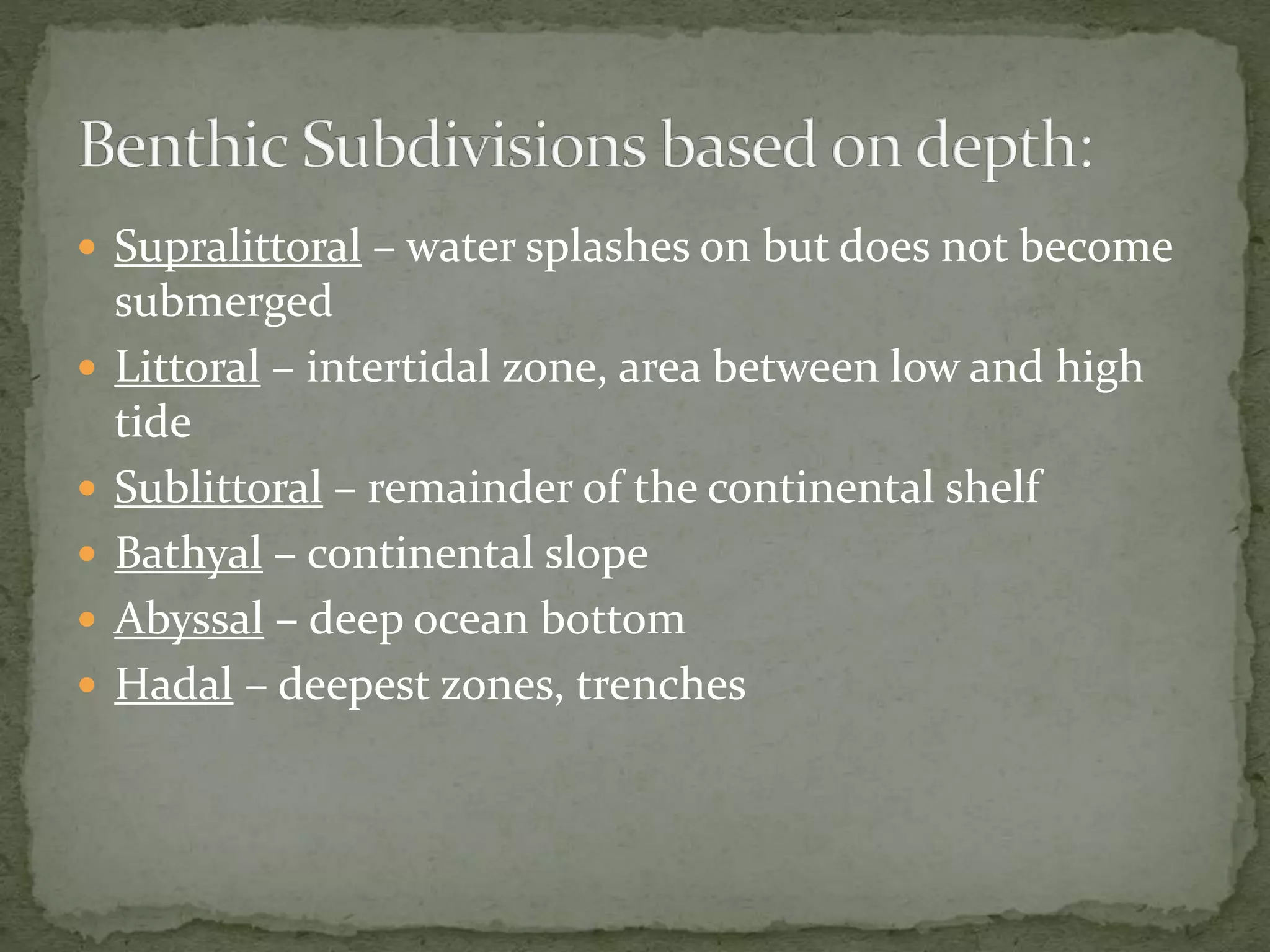 Ocean Zones and Marine Ecosystems Notes | PPTX