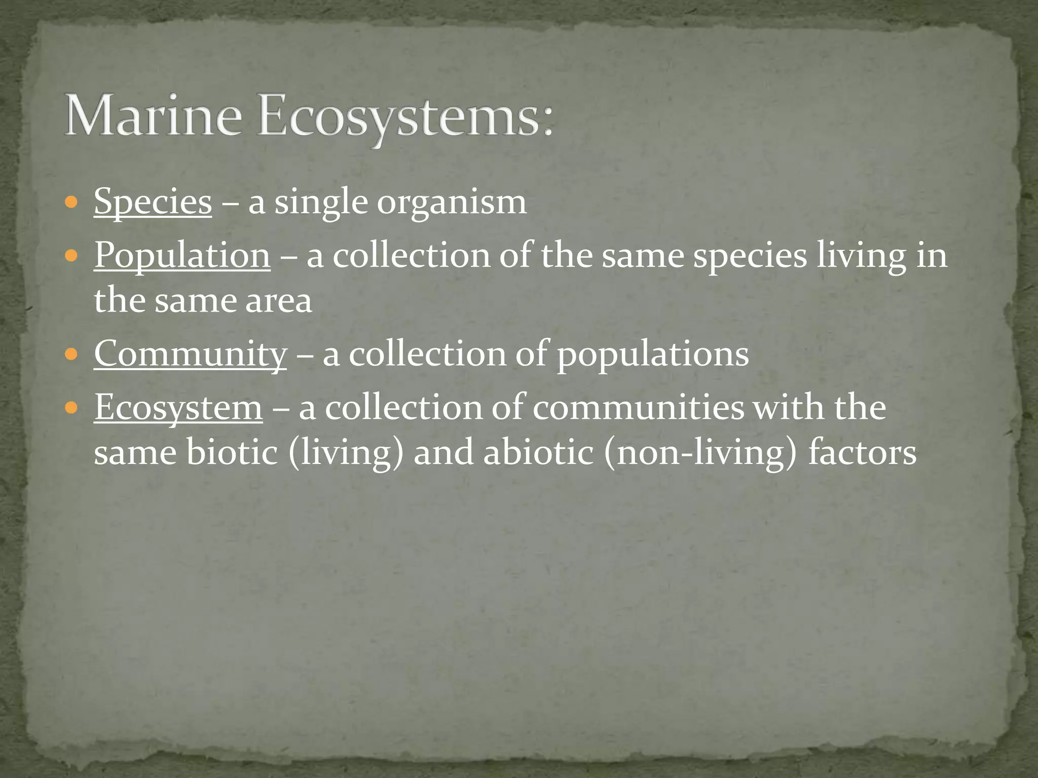 Ocean Zones and Marine Ecosystems Notes | PPTX