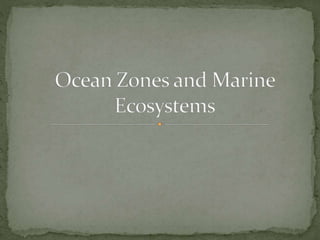 Ocean Zones and Marine Ecosystems Notes | PPTX