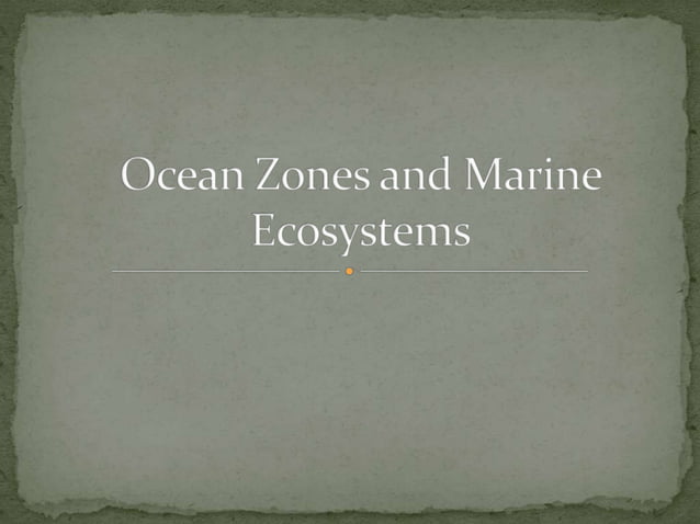 Ocean Zones and Marine Ecosystems Notes | PPTX | Geography | Science