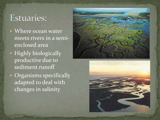 Ocean Zones and Marine Ecosystems Notes | PPTX