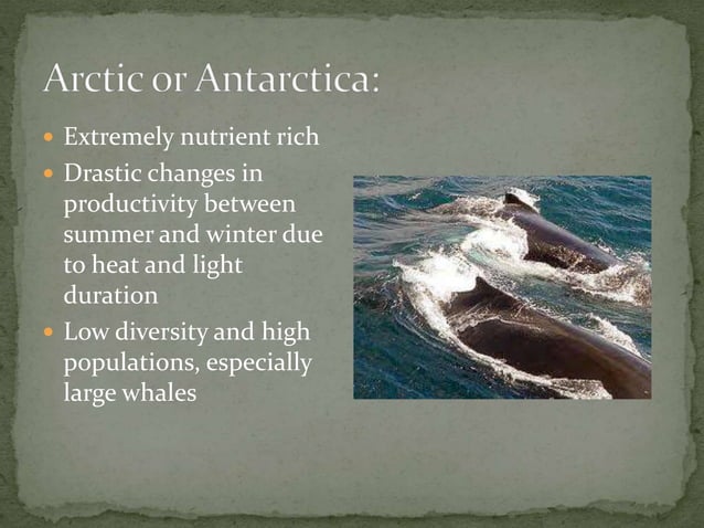 Ocean Zones and Marine Ecosystems Notes | PPTX | Geography | Science