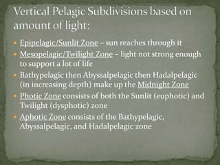 Ocean Zones and Marine Ecosystems Notes | PPTX