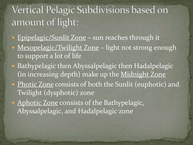 Ocean Zones and Marine Ecosystems Notes | PPTX | Geography | Science