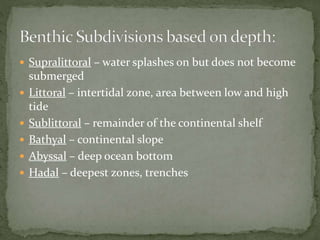 Ocean Zones and Marine Ecosystems Notes | PPTX