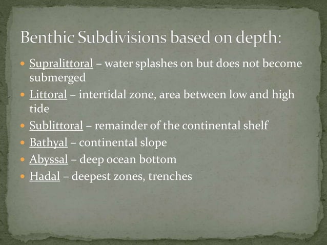 Ocean Zones and Marine Ecosystems Notes | PPTX | Geography | Science