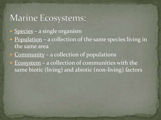 Ocean Zones and Marine Ecosystems Notes | PPTX