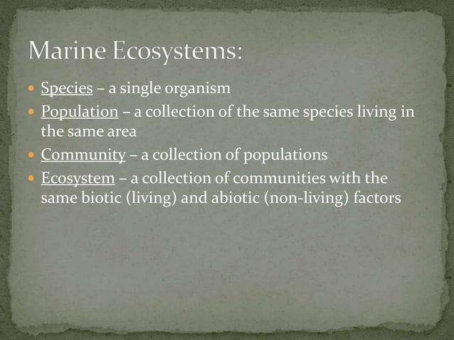 Ocean Zones and Marine Ecosystems Notes | PPTX | Geography | Science