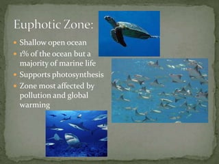 Ocean Zones and Marine Ecosystems Notes | PPTX