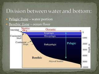 Ocean Zones Diagram