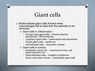 10. inflammation | PPTX