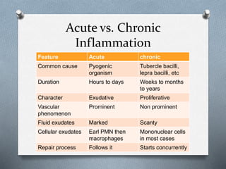 10. inflammation | PPTX | Medical Health