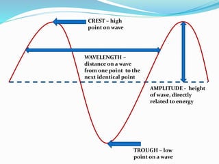 Marine Wave Notes | PPTX