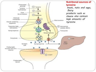 pharmacology of symphathetic system | PPTX
