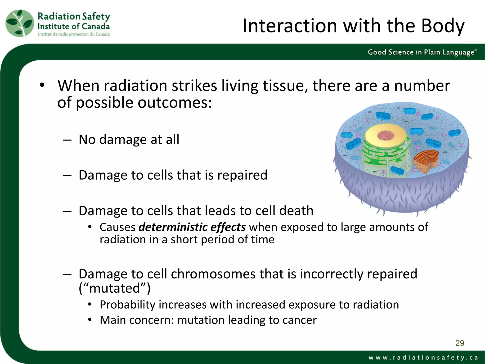 Radiation Safety in the Workplace | PDF