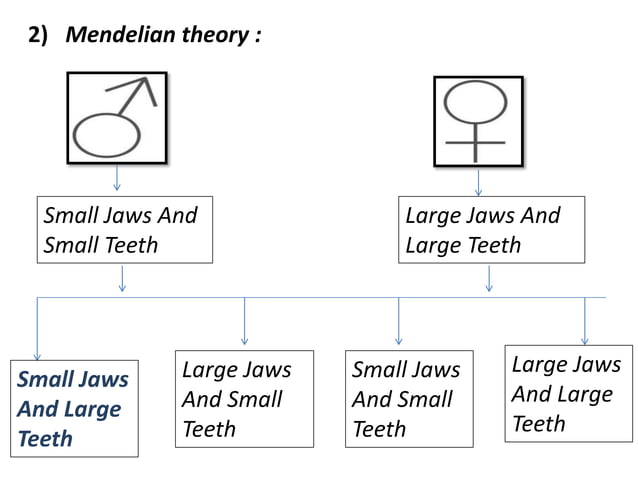 THIRD MOLAR IMPACTION (BASIC) | PPTX