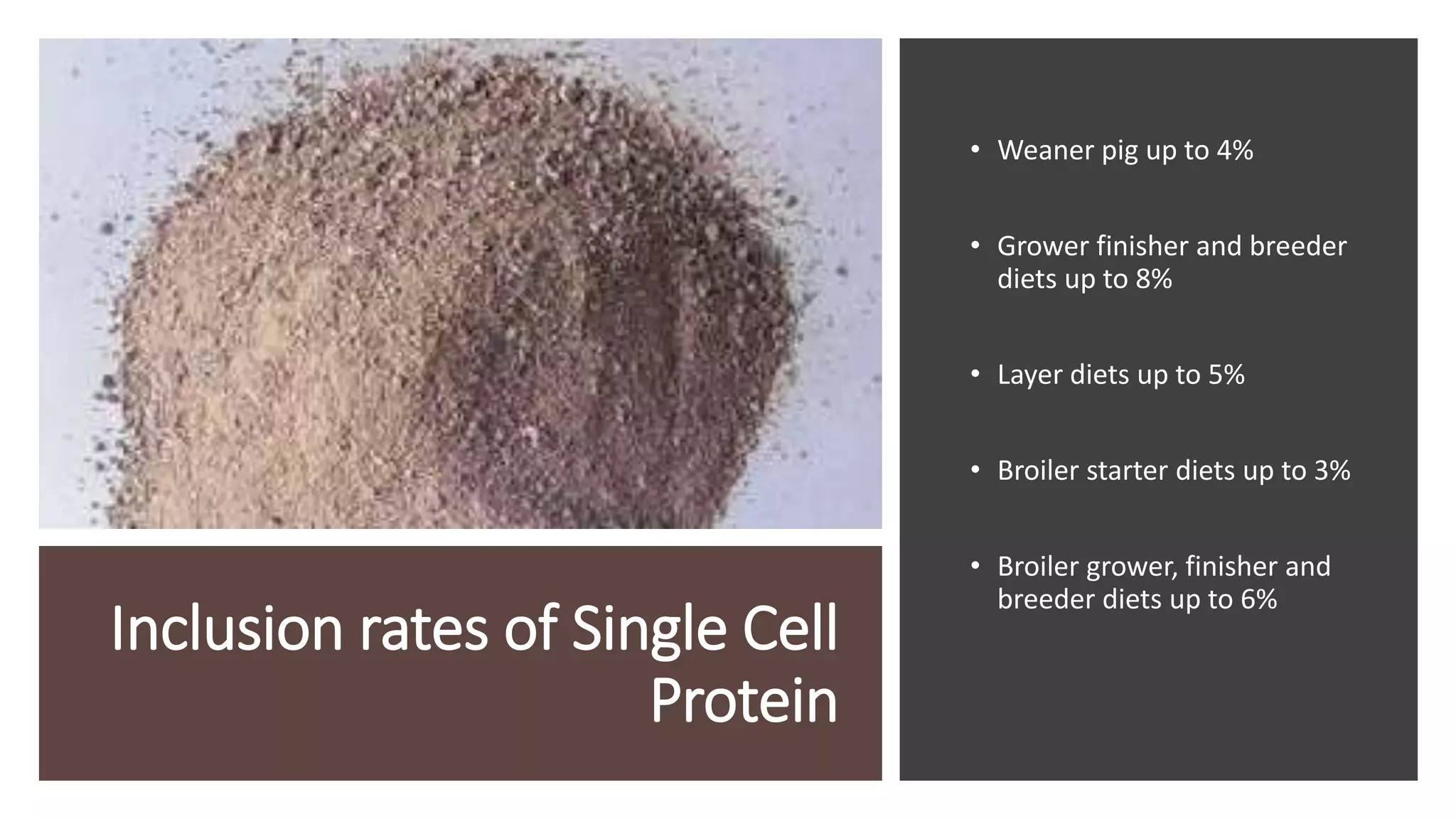 10. dr david cadogan feedworks - single cell protein types, benefits ...