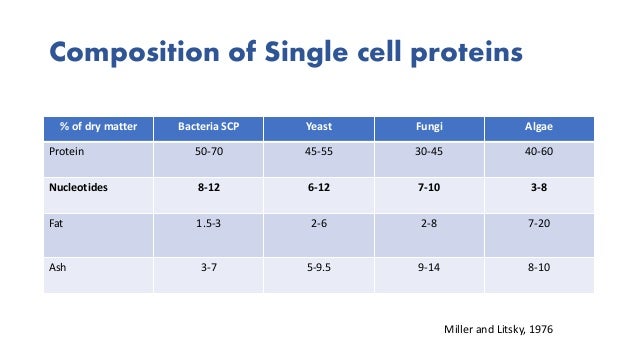 10. dr david cadogan feedworks - single cell protein types, benefits