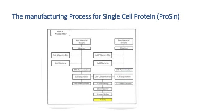 10. dr david cadogan feedworks - single cell protein types, benefits