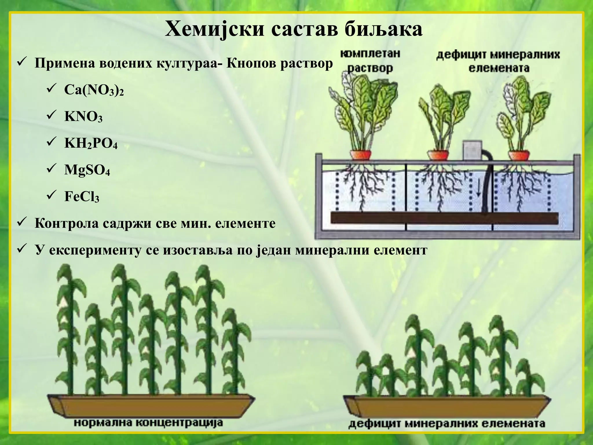 10. Hemijski sastav biljaka | PPTX