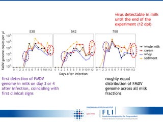 Multiplex Real-Time RT-PCR for Detection of FMDV, Rift Valley Fever ...