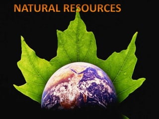 community based natural resource management | PPTX