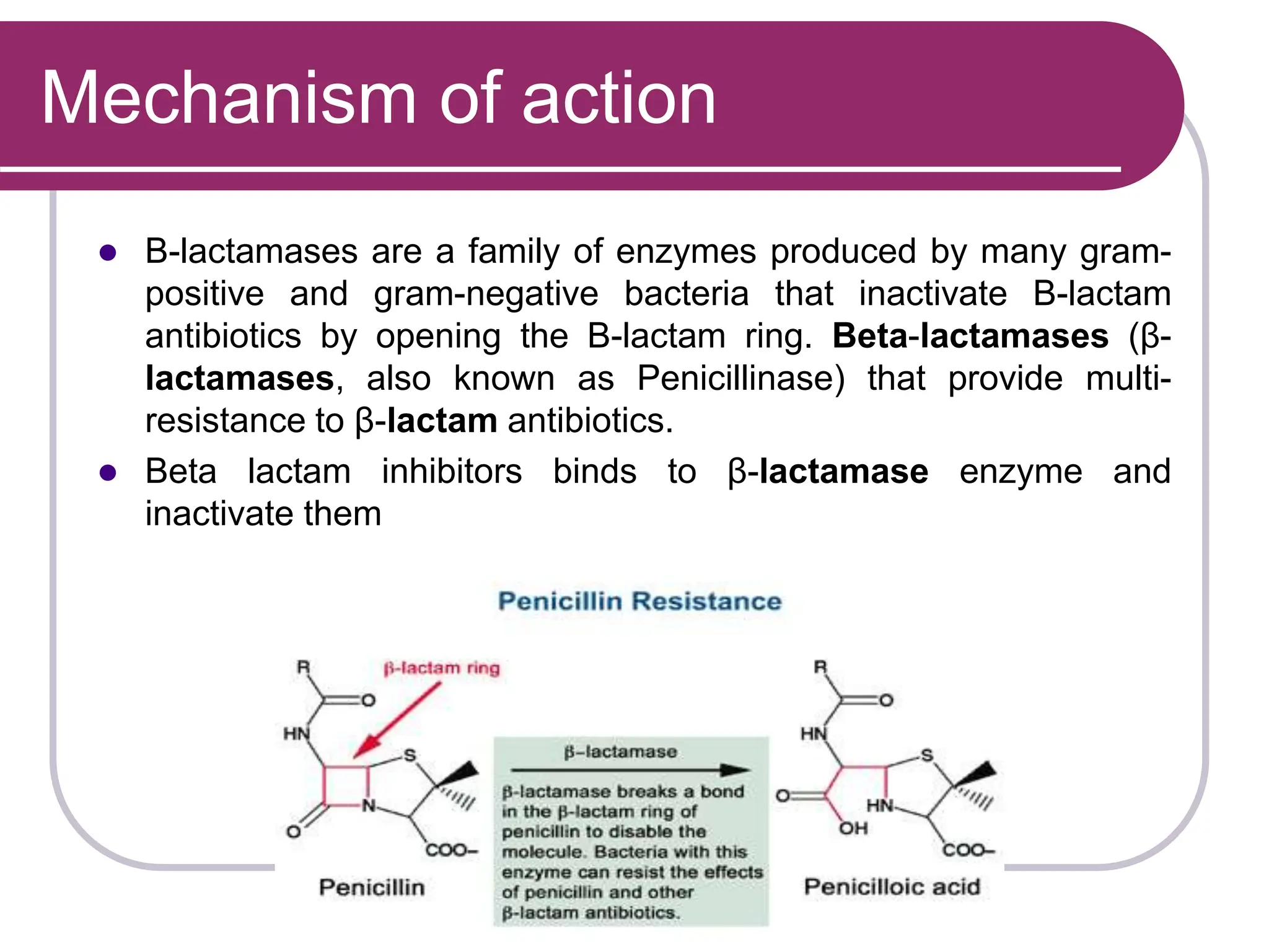 beta lactamase inhibitors from beta lacatum antibiotics | PPTX