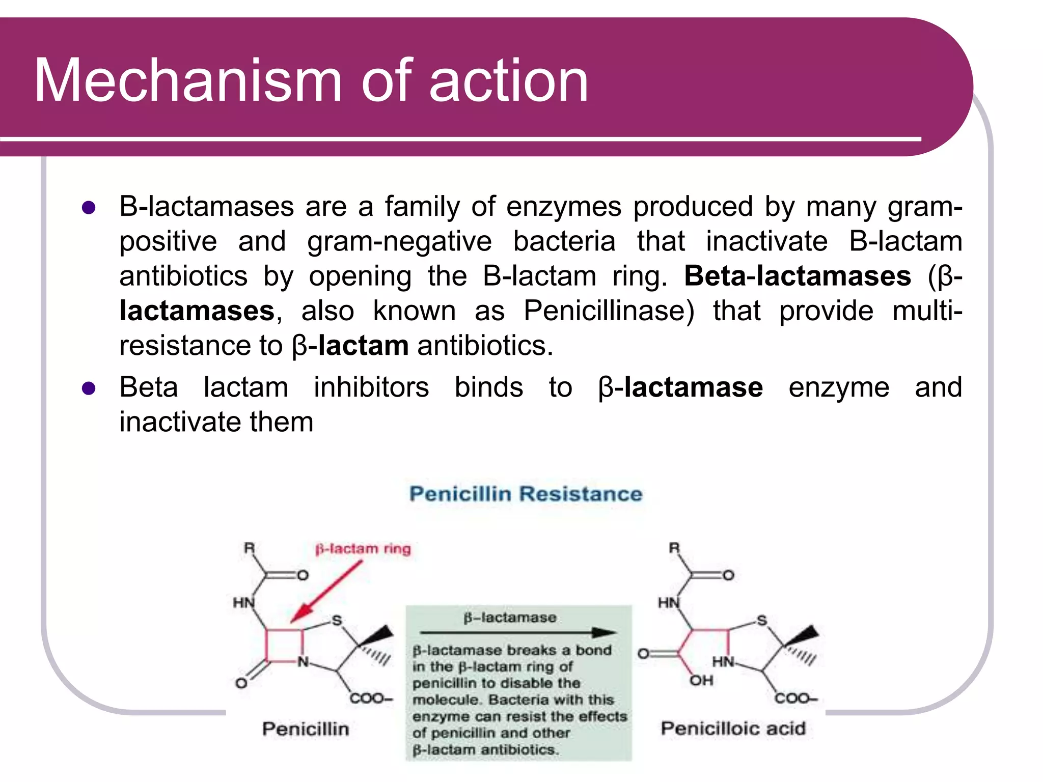 Beta lactamase inhibitors | PPTX